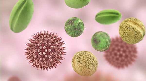 Pollenflug heute: Pollenkalender für Allergiker